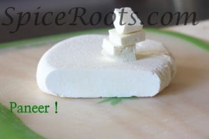 Tamatar Chaaman - Paneer with Tomatoes a Kashmiri fusion Recipe